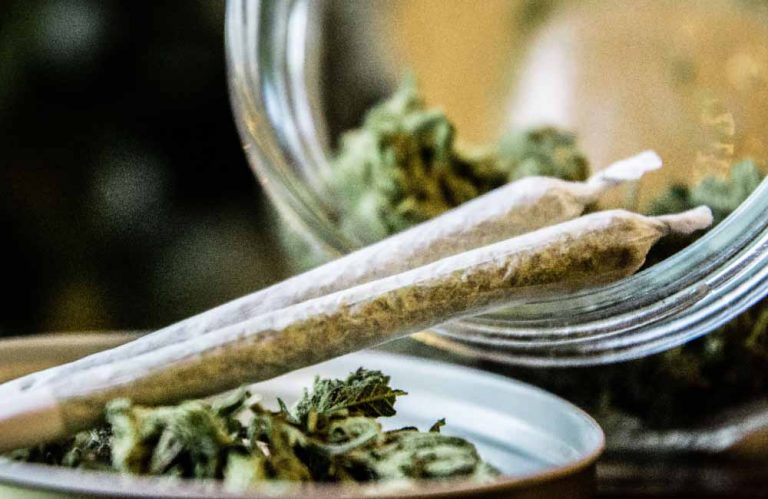 Let it Snow: A Beginner’s Guide to the Snowcap Strain